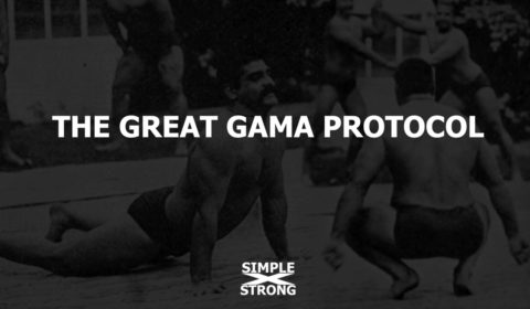 The Great Gama Protocol - SIMPLEXSTRONG